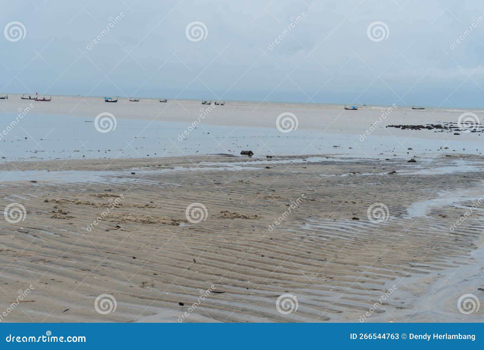 Seafront View with White Sandy Beaches in the Middle of Nature Stock ...