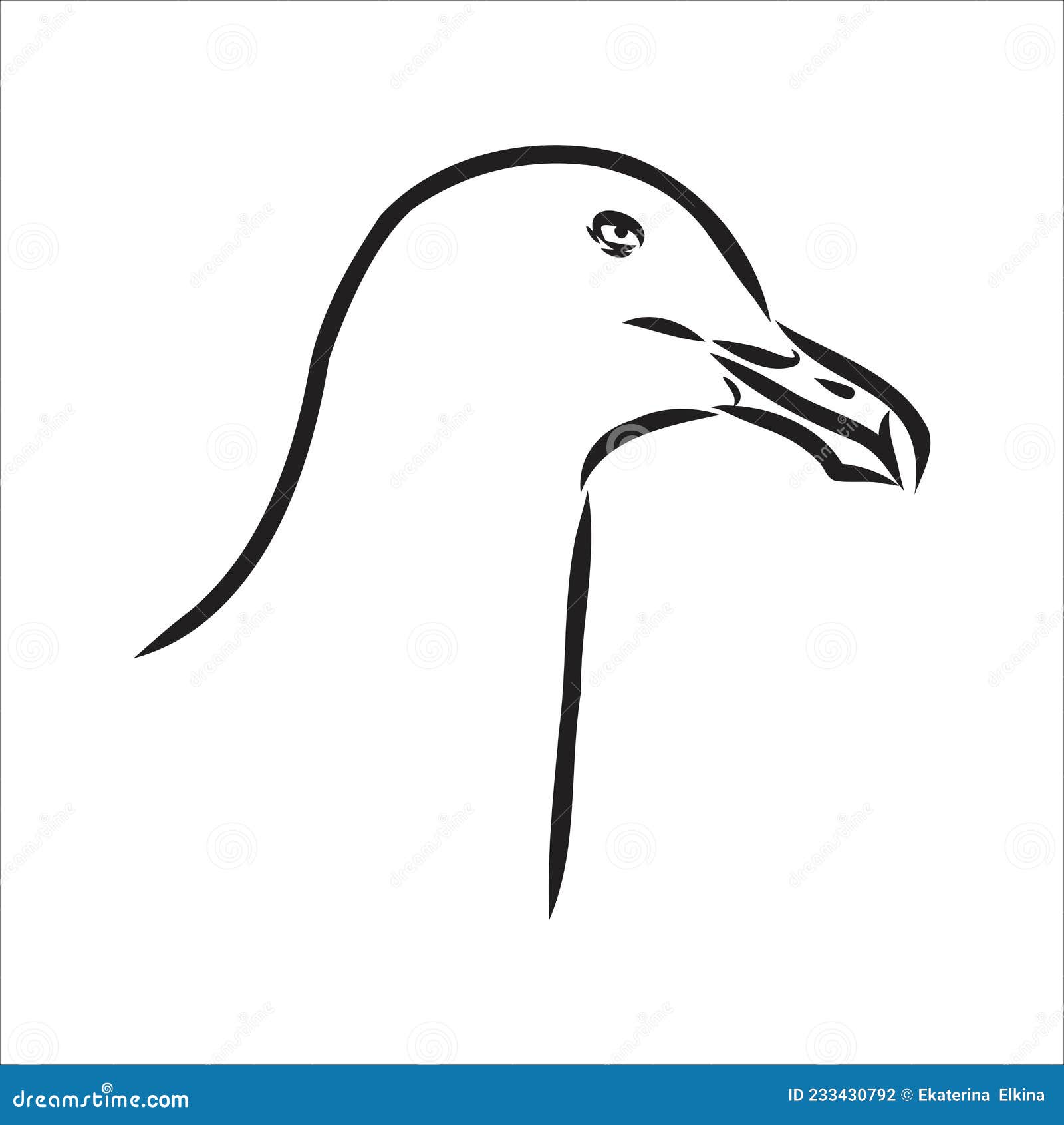 Albatross Drawing Illustration On White | CartoonDealer.com #58204034