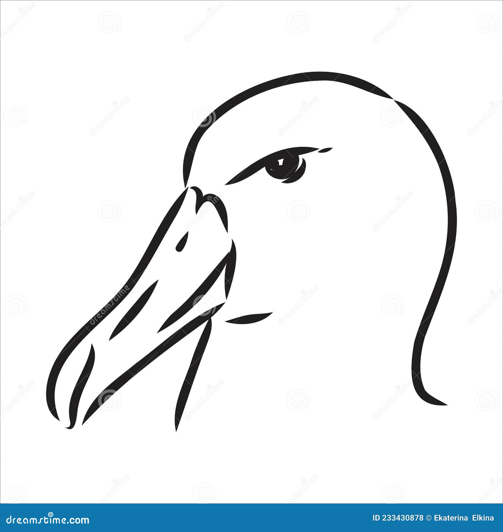 Albatross Bird Drawing