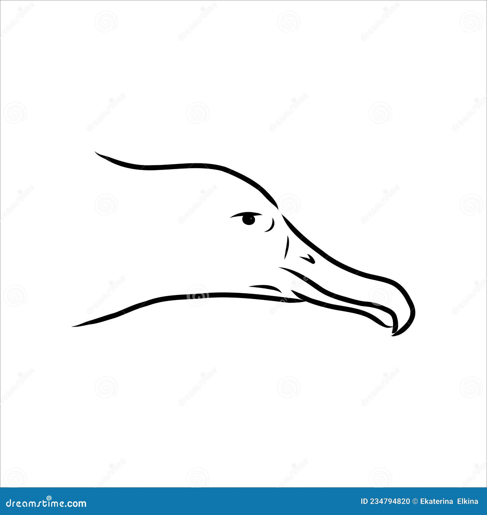 Seagull Albatross Bird In Flight With Open Wings Sketch Vector Graphics ...