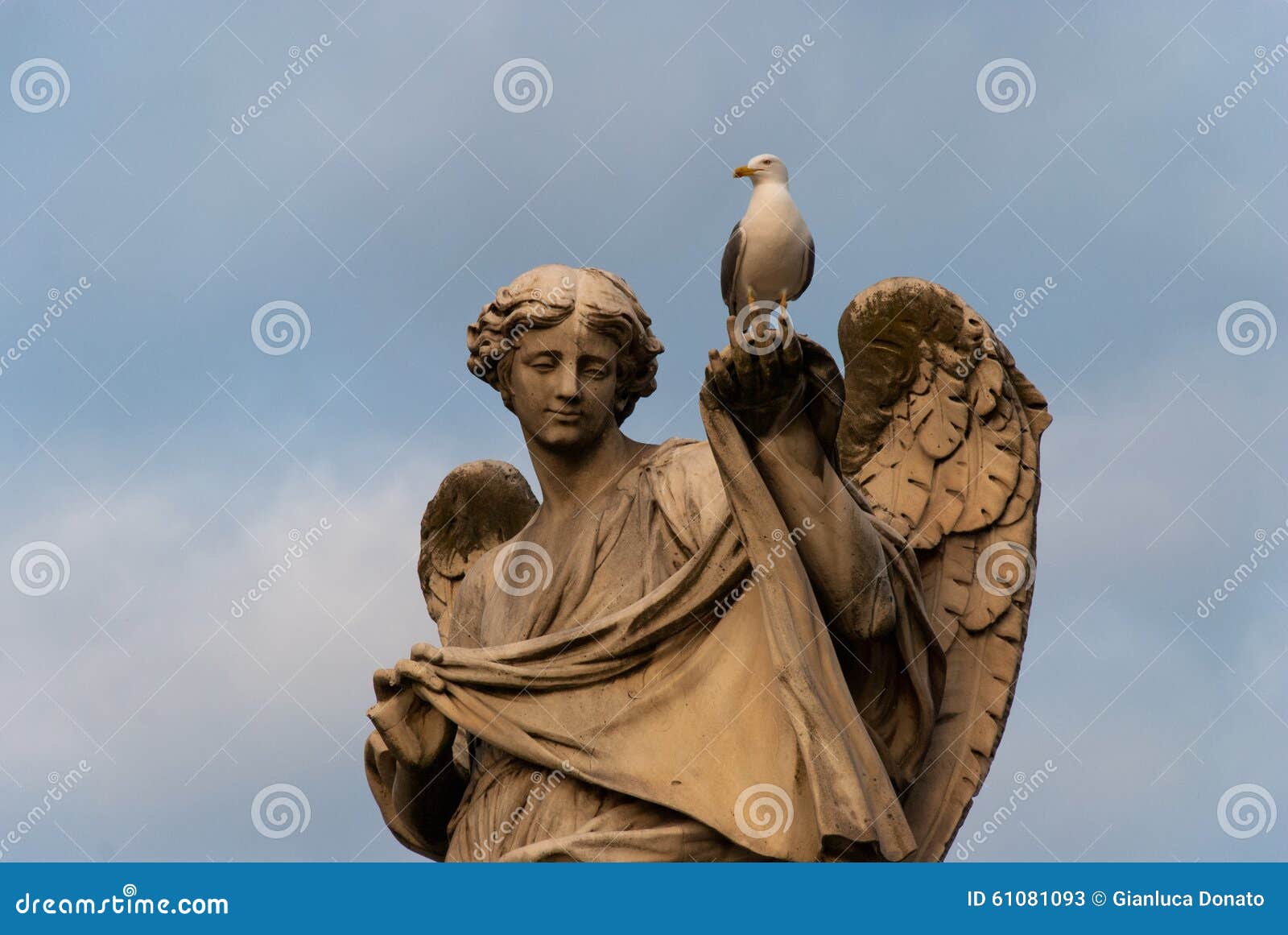 Seagull on an Ancient Statue Stock Image - Image of antique, blue: 61081093