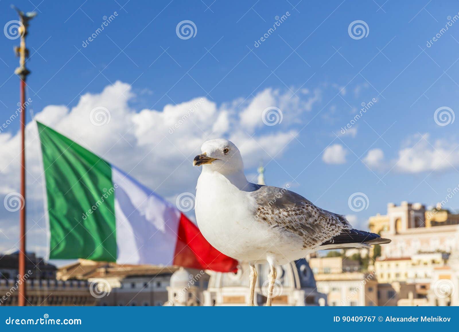 Seagull on the Background of the Italian Flag and Blue Sky Stock Image ...