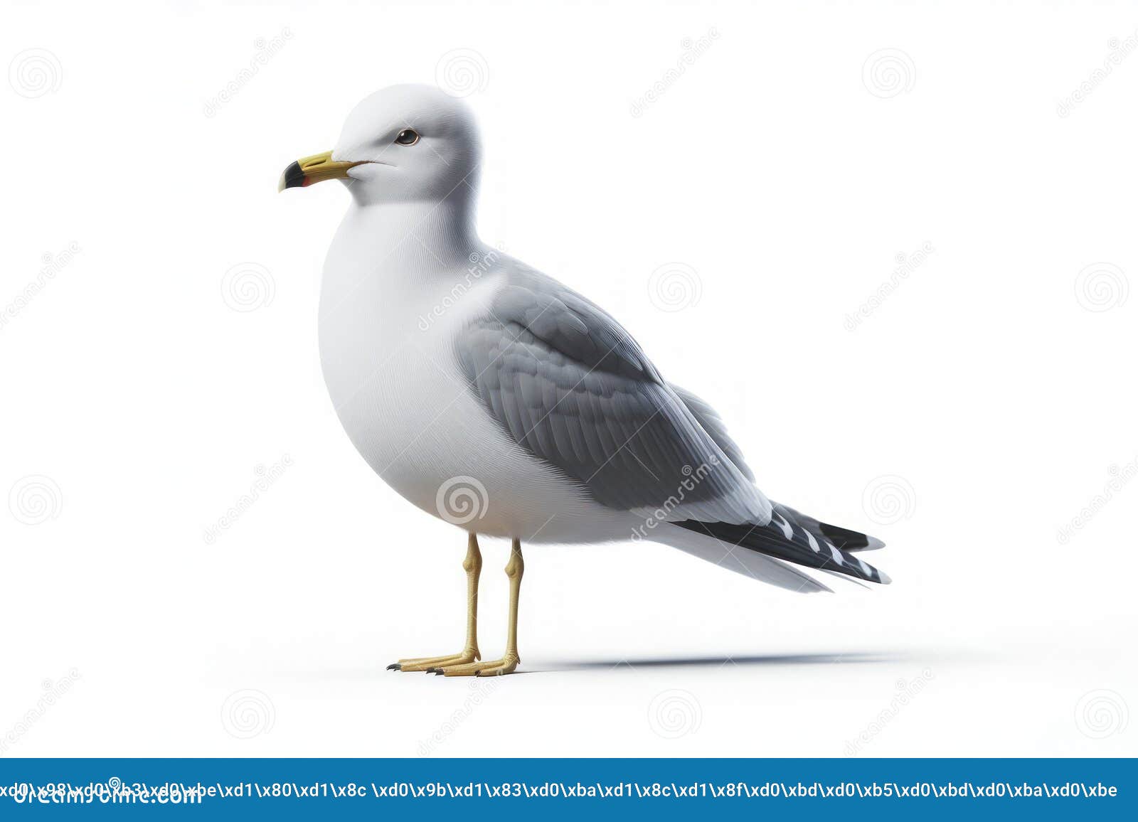 Seagull Bird Isolated on Solid White Background. Ai Generative Stock ...