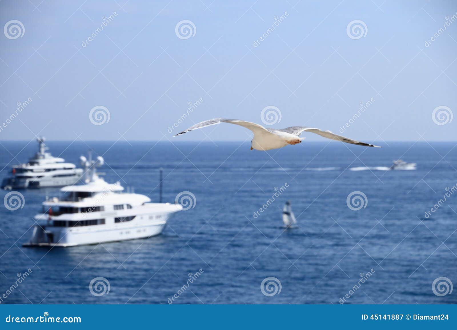 Seagull on the Blue Sky Over Ships and Sea Stock Image - Image of open ...