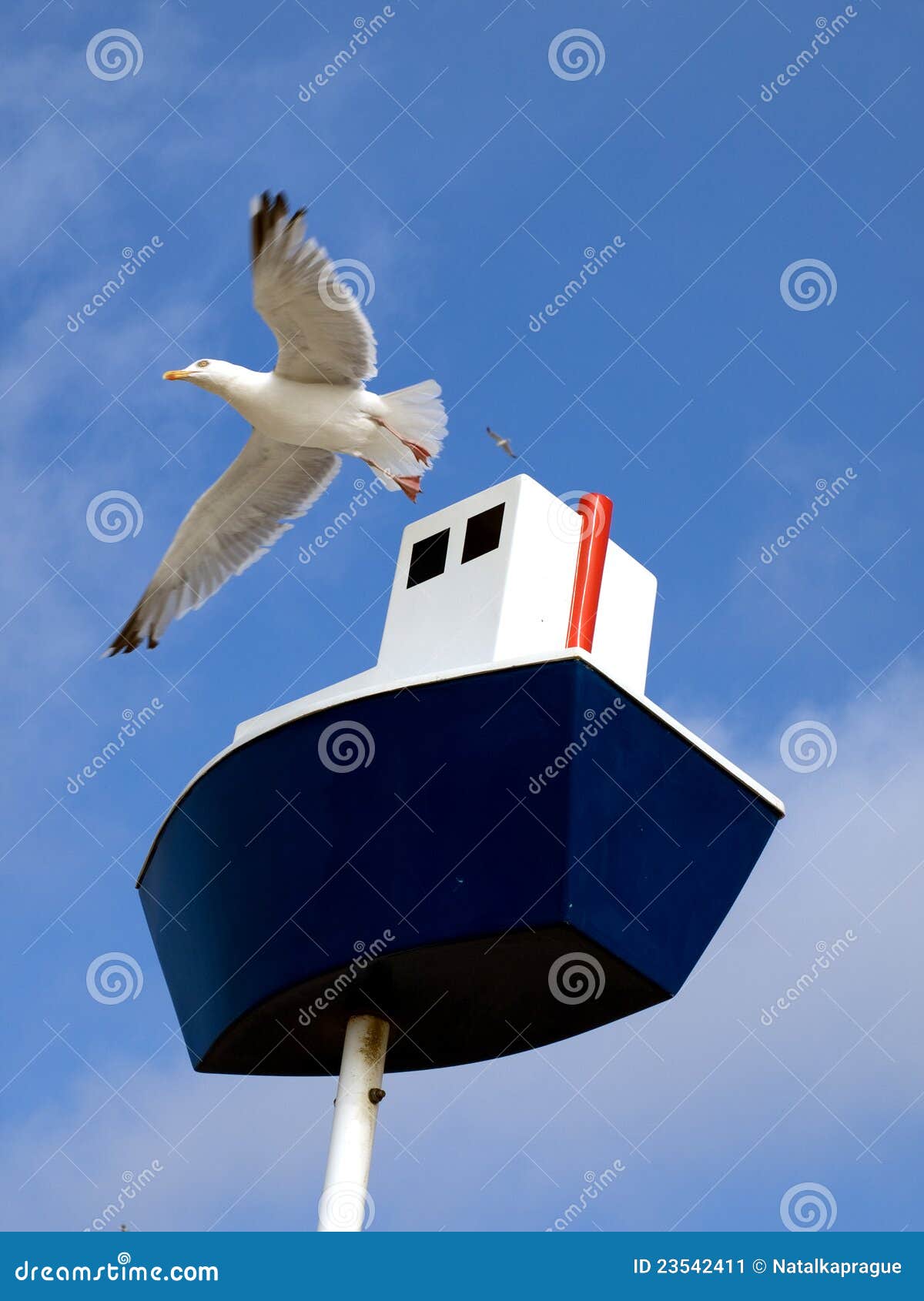 Seagull and the boat stock image. Image of azure, coast - 23542411