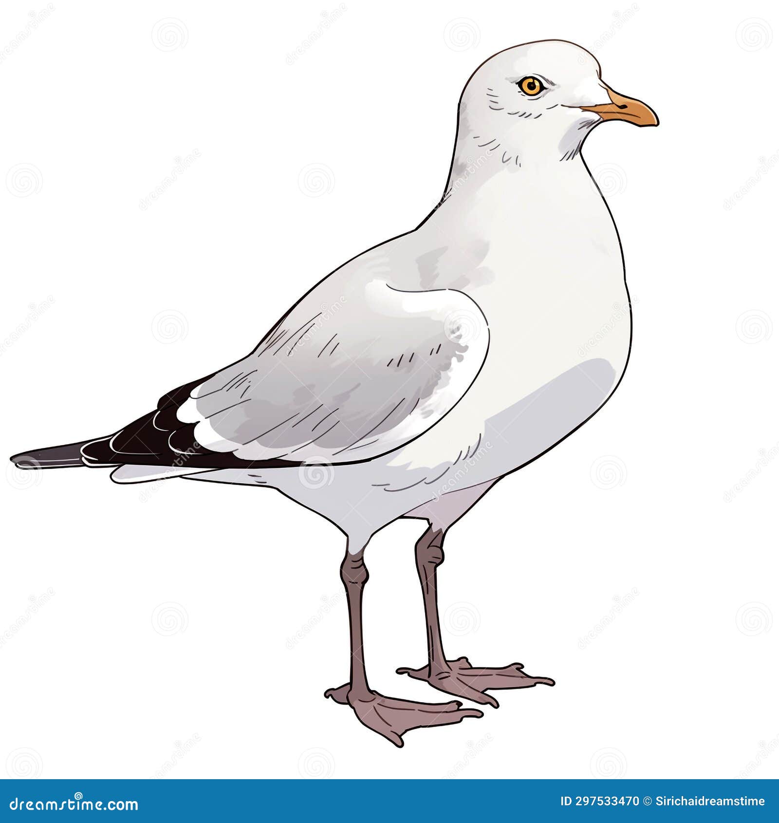 Seagull Cartoon Comic Drawing , Black Outline, AI Generated Stock ...