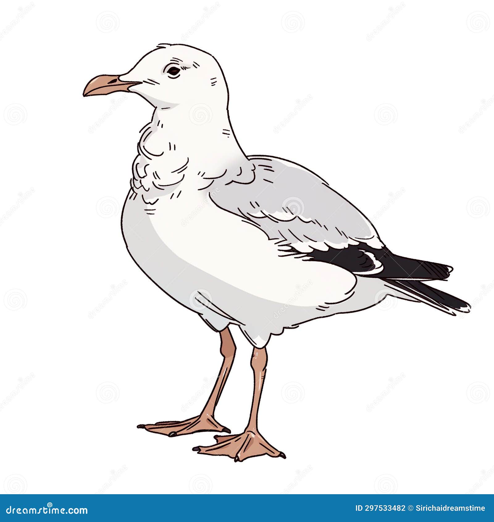 Seagull Cartoon Comic Drawing , Black Outline, AI Generated Stock ...