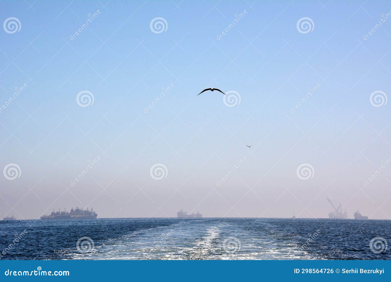 A Seagull Flies Against the Background of a Bright Blue Sky. Ships are ...