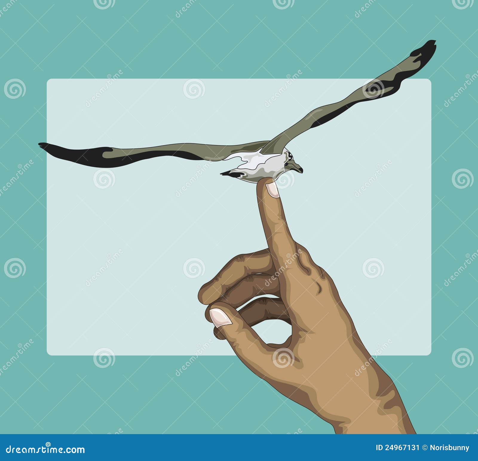 Seagull in flight stock illustration. Illustration of drawing - 24967131