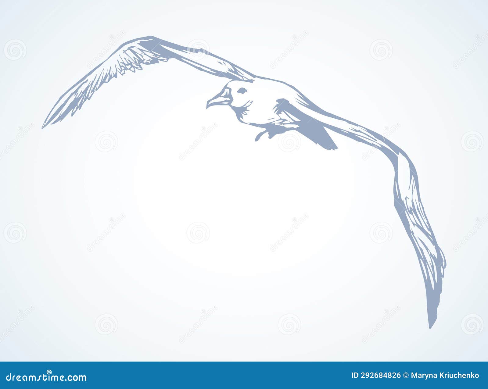 Seagull in Flight. Vector Drawing Stock Illustration - Illustration of ...