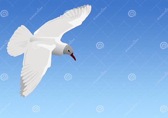 The seagull flying stock illustration. Illustration of vacation - 1945913