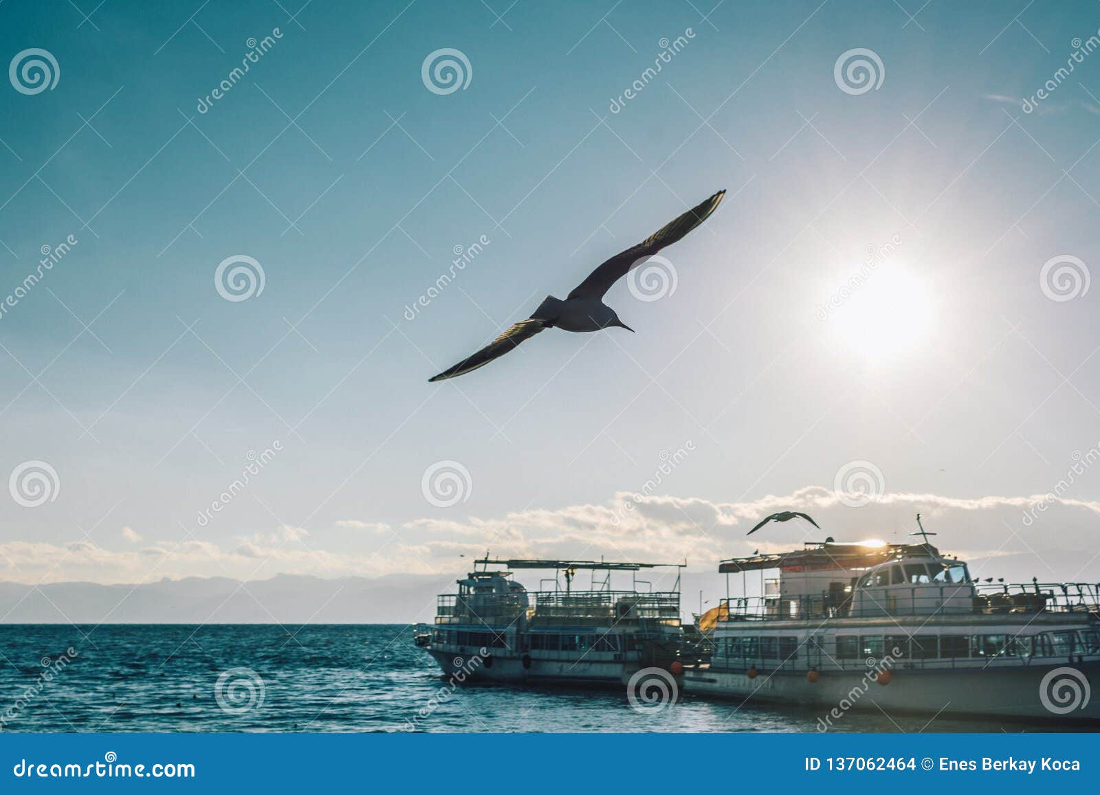 Seagull Flying in Blue Sky and Ships on View Stock Photo - Image of ...