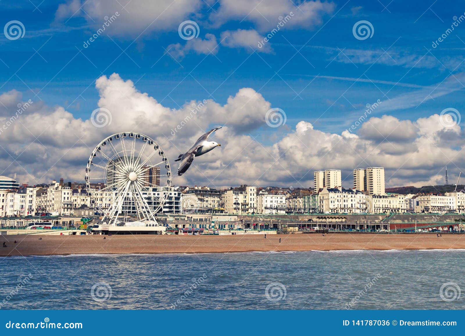 Seagull Flying on Brighton Beach Editorial Photo - Image of wildlife ...