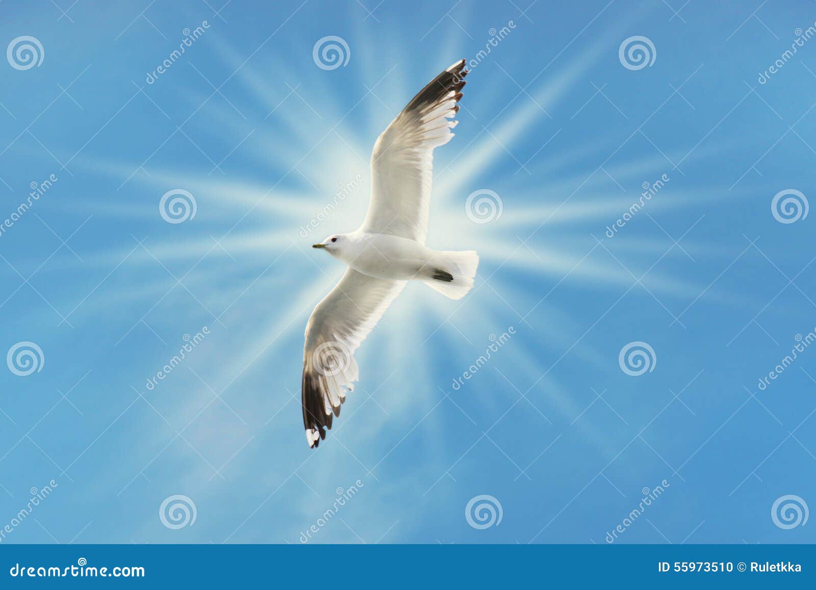 Seagull Flying Under Dramatic Blue Skies Stock Photo - Image of beleif ...