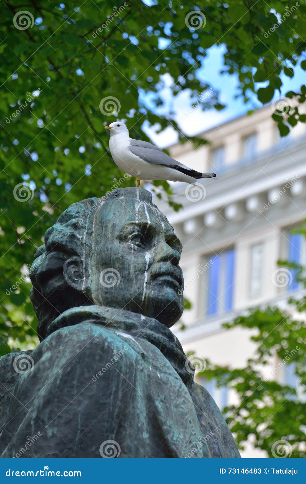 Seagull on the Head of a Statue Stock Image - Image of historic, europe ...