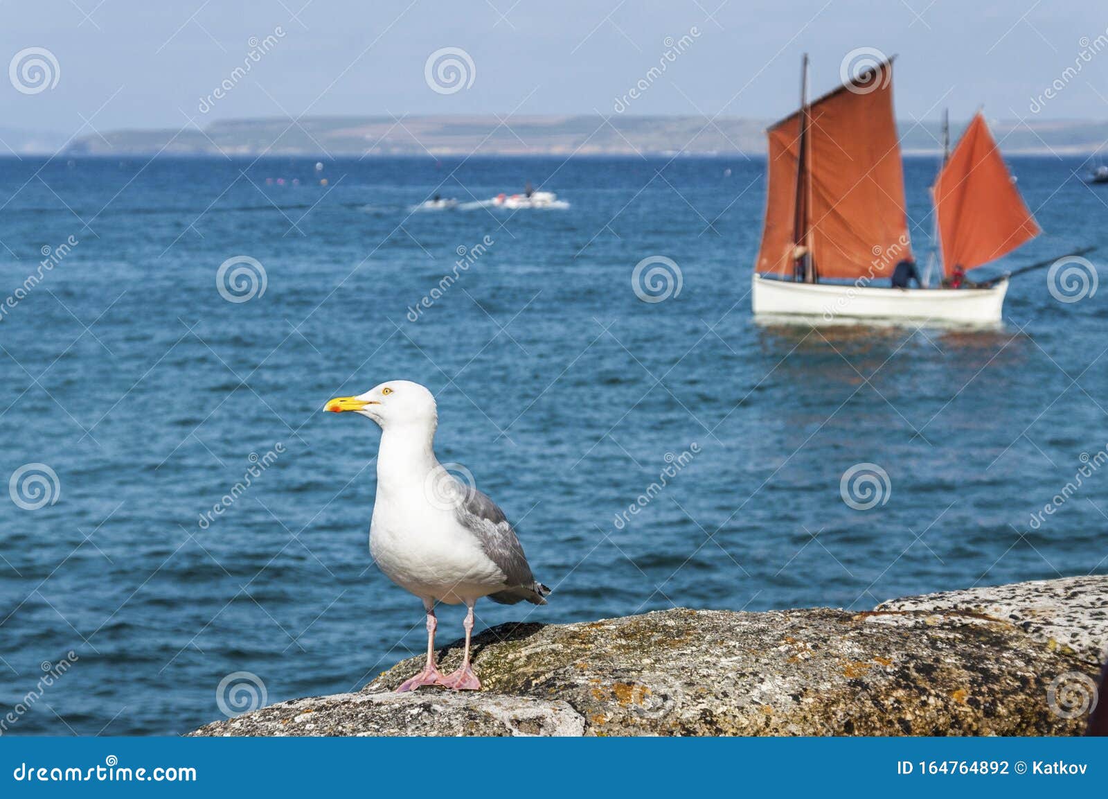 Seagull Ir Sailing Ship on Beautiful Seaside Stock Photo - Image of ...