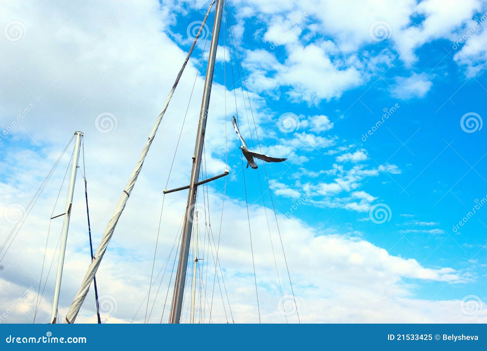 Keep Soaring High Photos - Free & Royalty-Free Stock Photos from Dreamstime