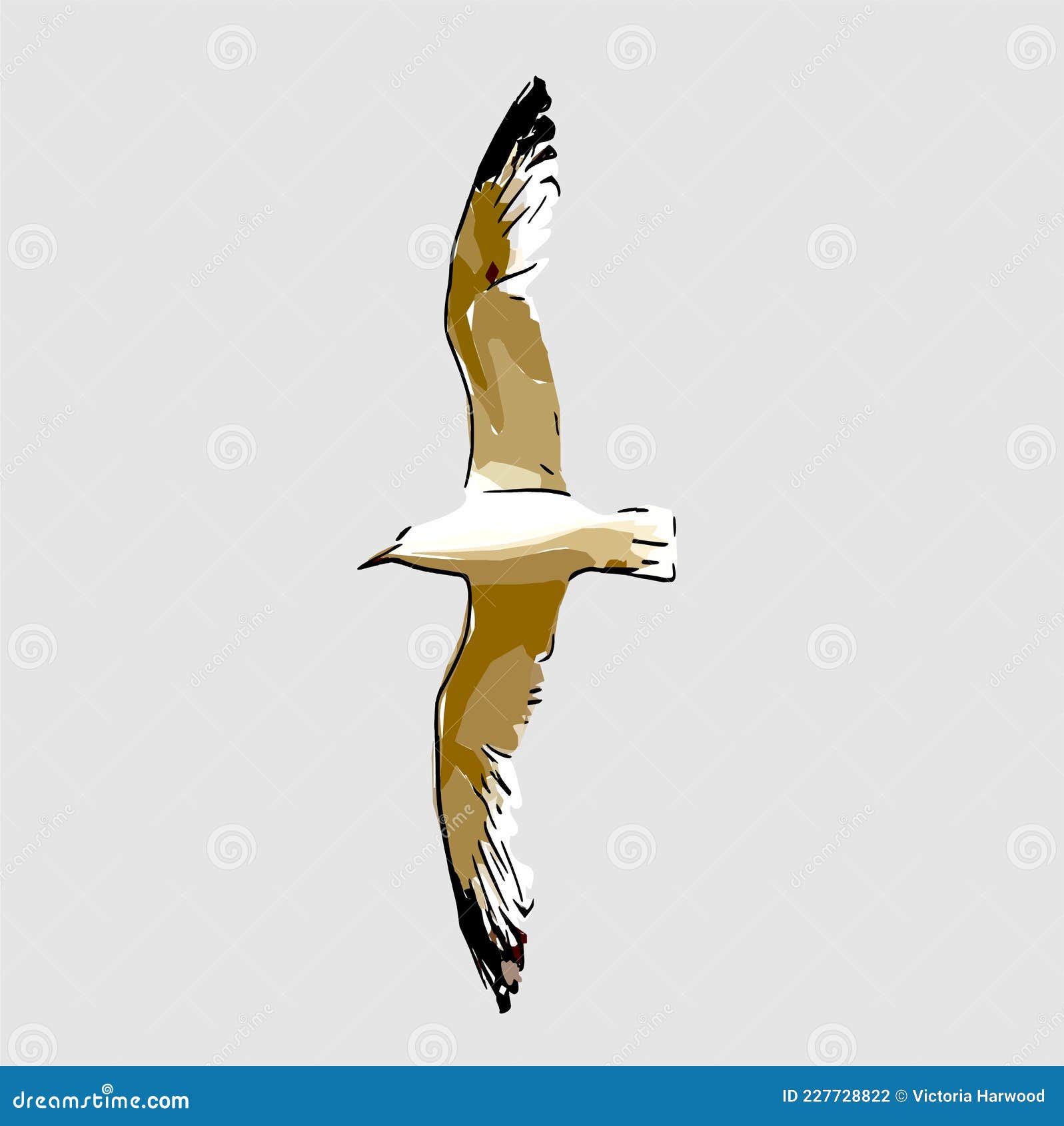 Seagull Outlines Single on Grey Sky Stock Vector - Illustration of ...