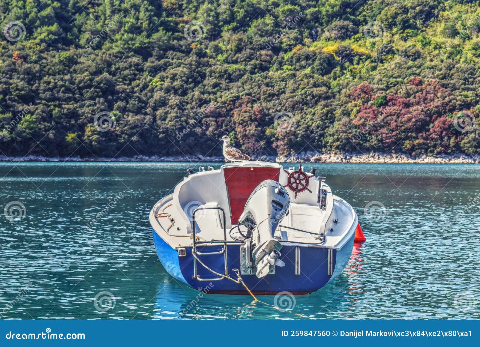 A Seagull is Resting on a Boat. Stock Photo - Image of boat, shore ...