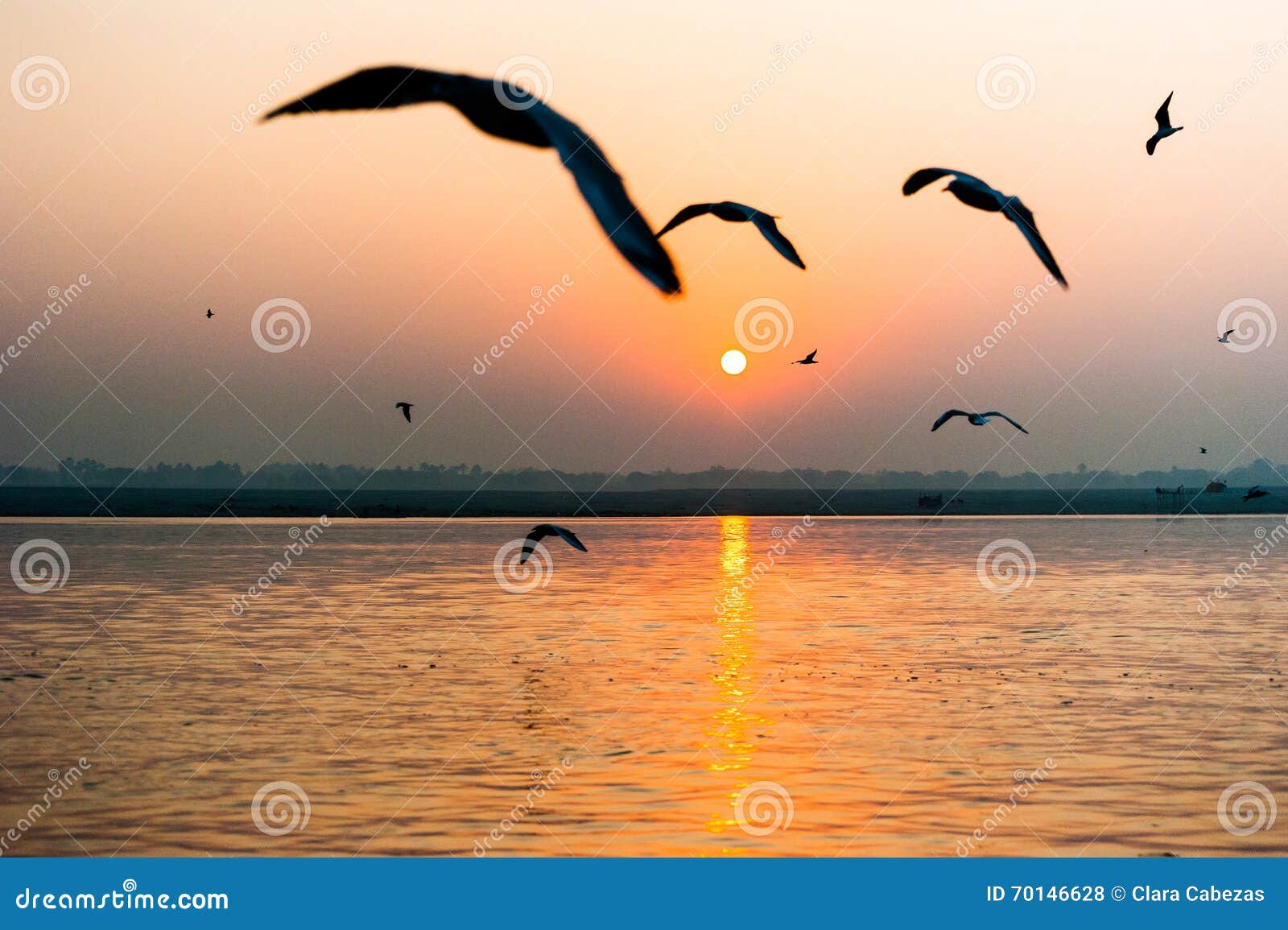 Seagull Shapes at Sunset in Varanasi Stock Photo - Image of light ...