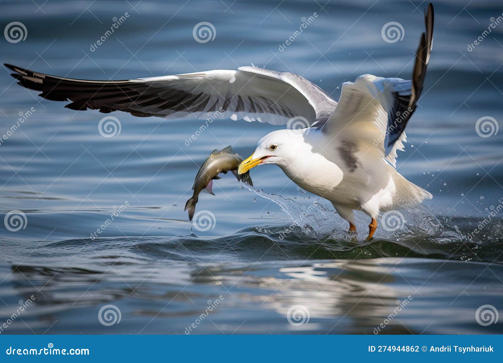 A Seagull on the Shore of the Sea or River Catches Fish, Generative AI ...