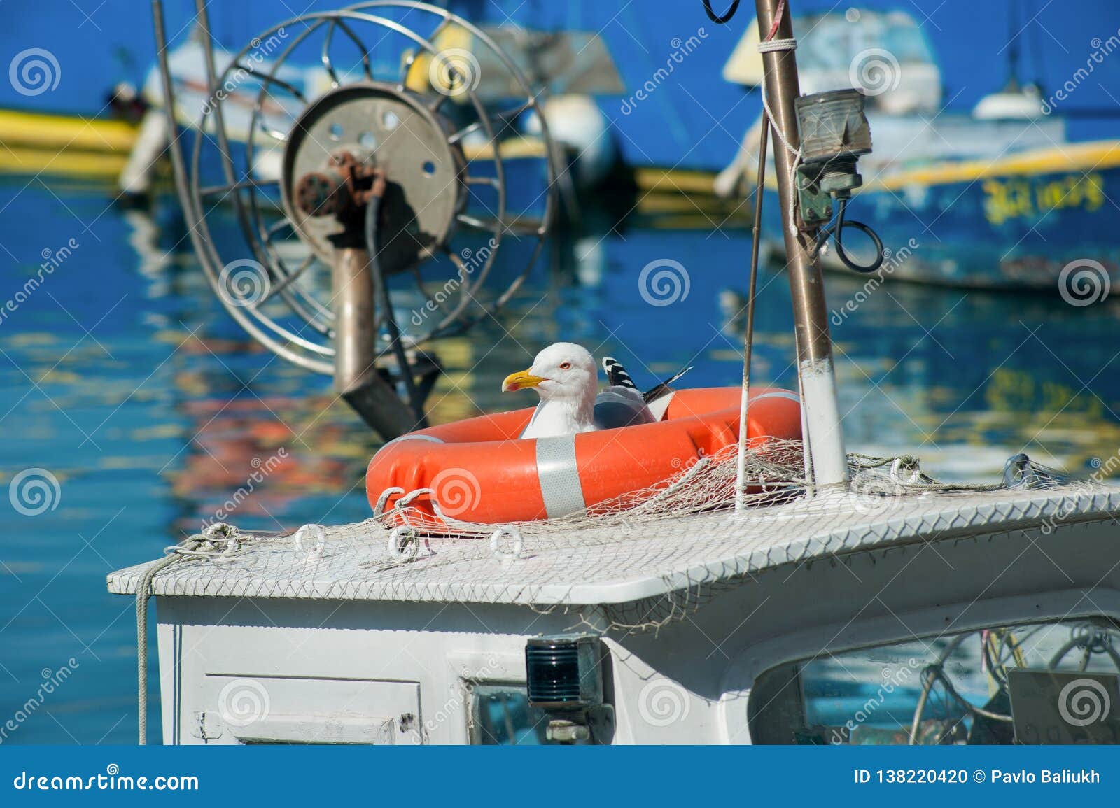 The Seagull Sits in a Rescue Boat on a Ship in the Port Stock Photo ...
