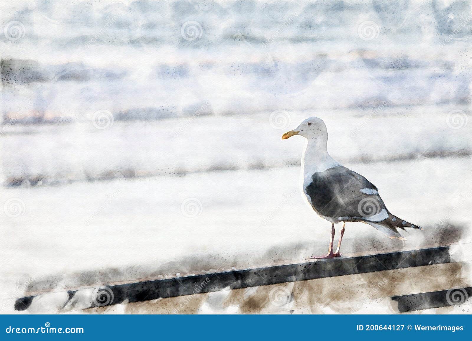 Seagull Sitting by the Beach in Watercolors Stock Image - Image of ...