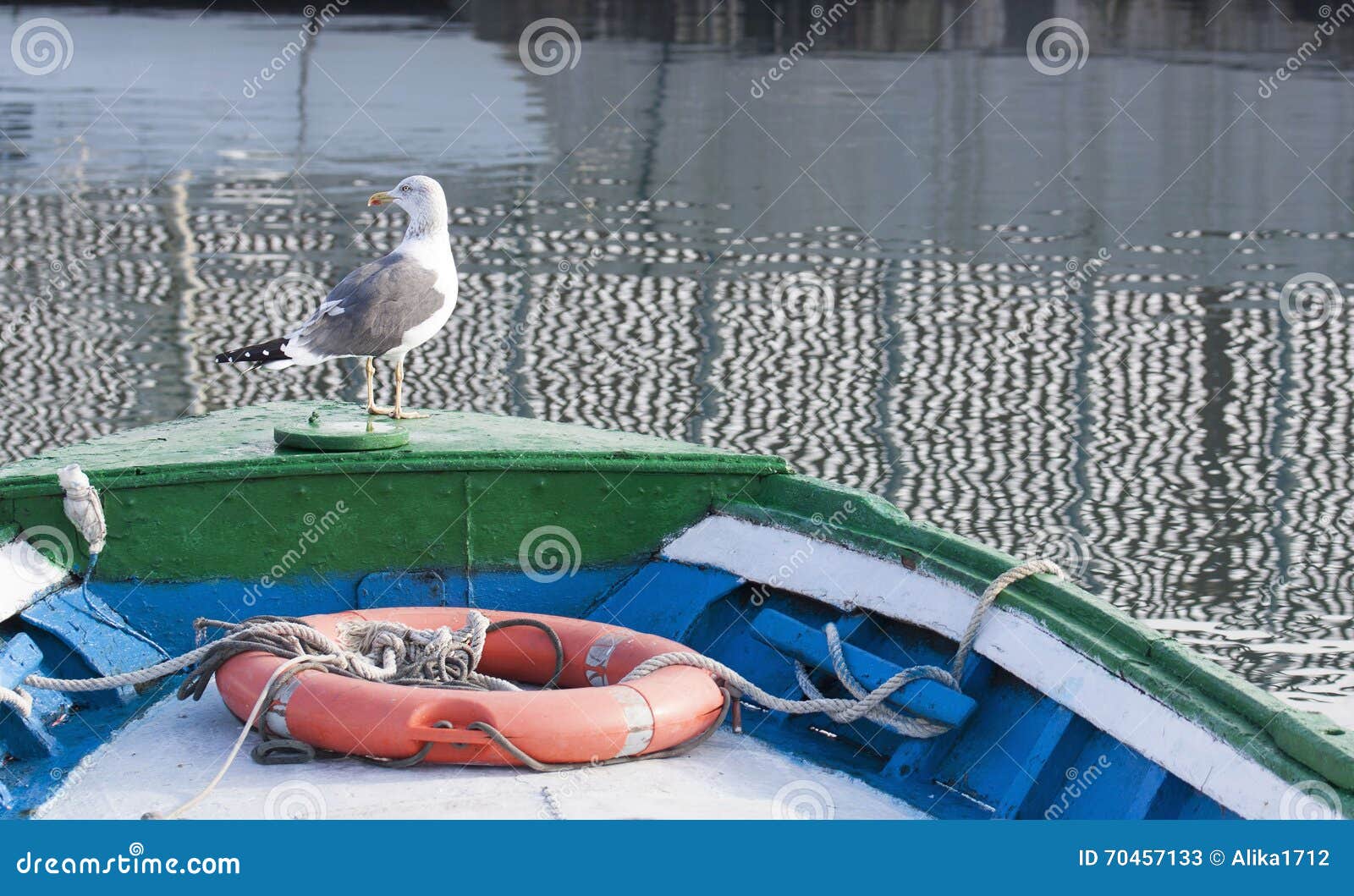Seagull Sitting on a Boat in the Harbor Stock Image - Image of ...