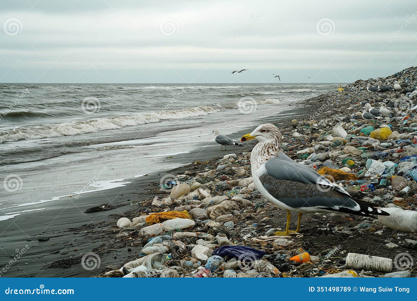 Seagull Standing on Plastic Polluted Beach Stock Illustration ...