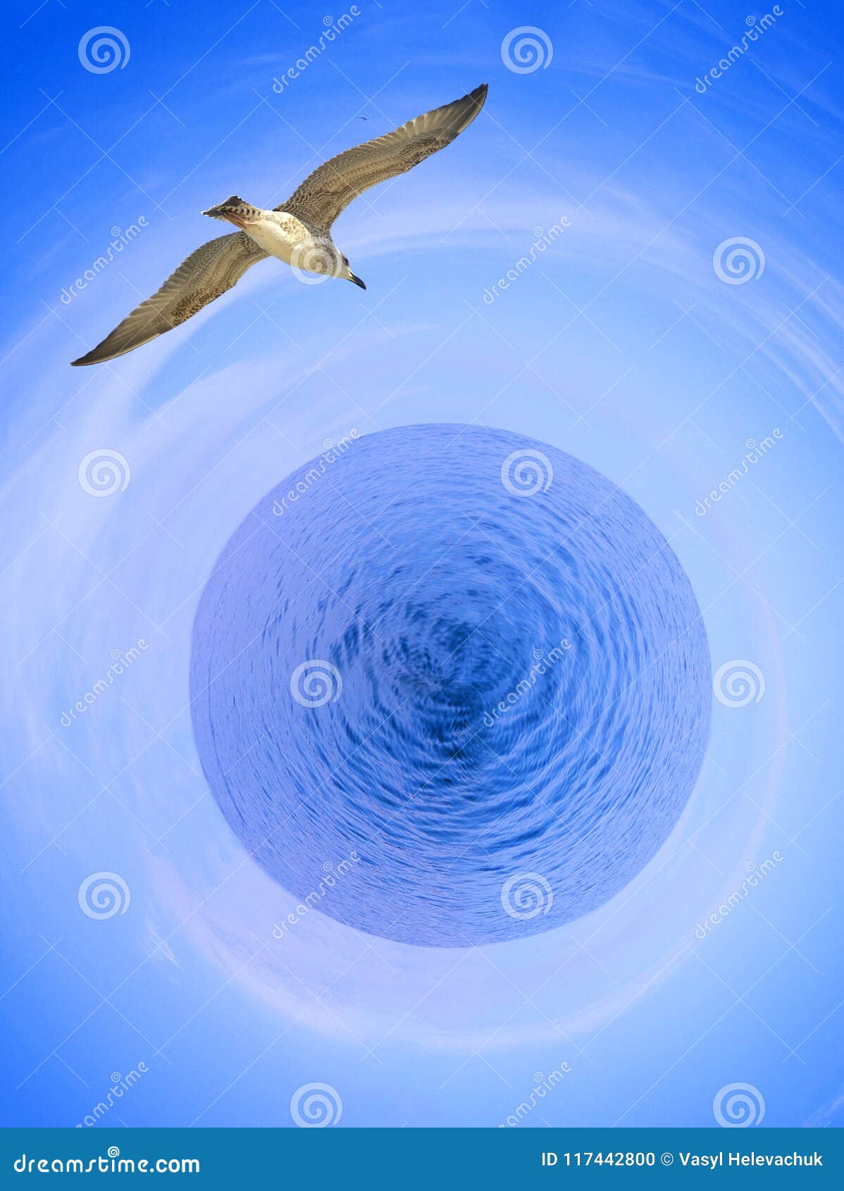 Seagull symbol stock photo. Image of summer, earth, idea - 117442800