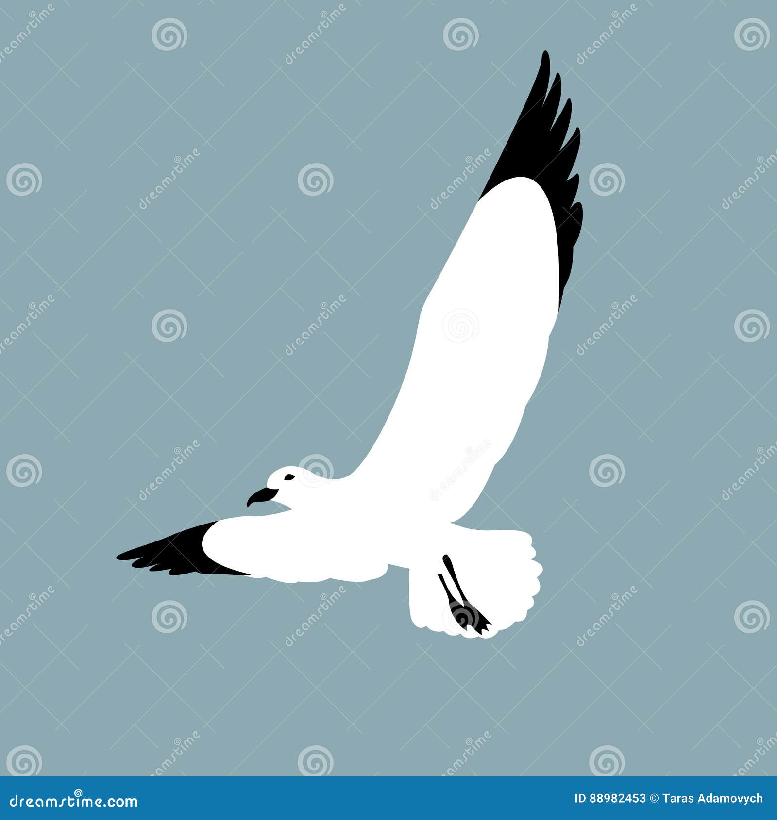 Seagull Vector Illustration Style Flat Stock Vector - Illustration of ...