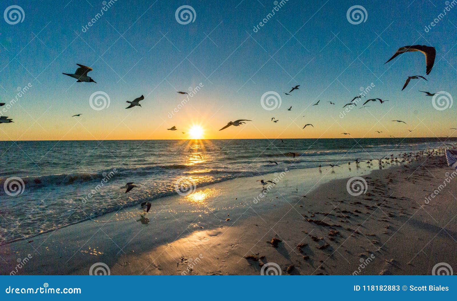 Sunset at Beach with Birds stock image. Image of people - 118182883