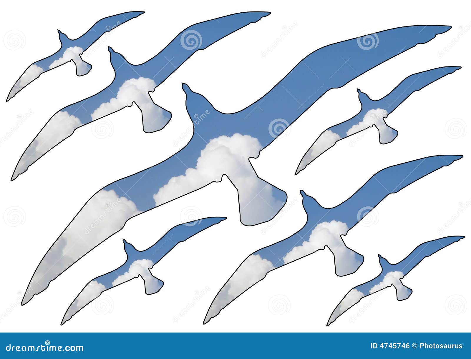 Seagulls with border stock illustration. Illustration of herring - 4745746