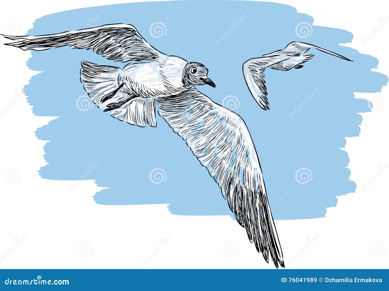 Seagulls in flight stock vector. Illustration of animal - 76041989