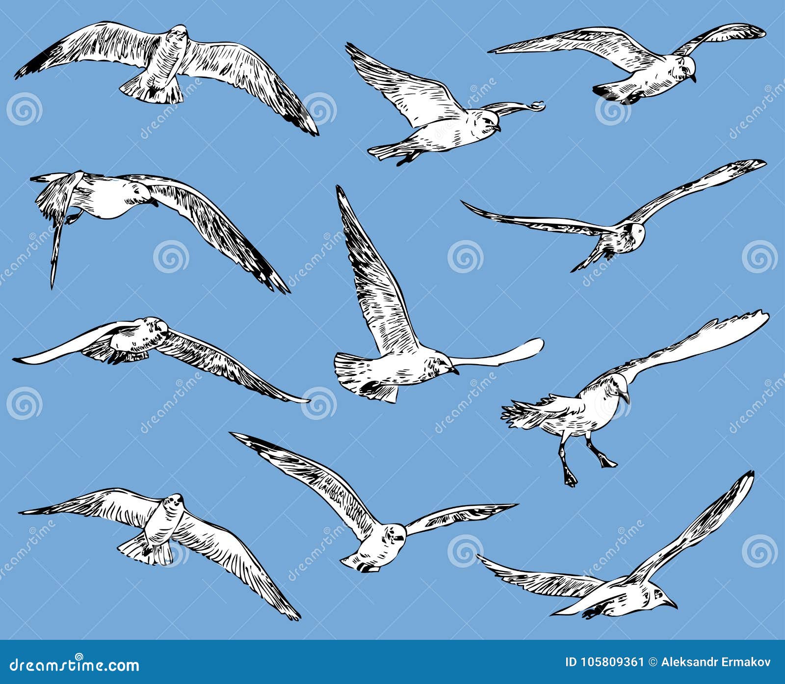 Seagulls in flight stock vector. Illustration of hand - 105809361