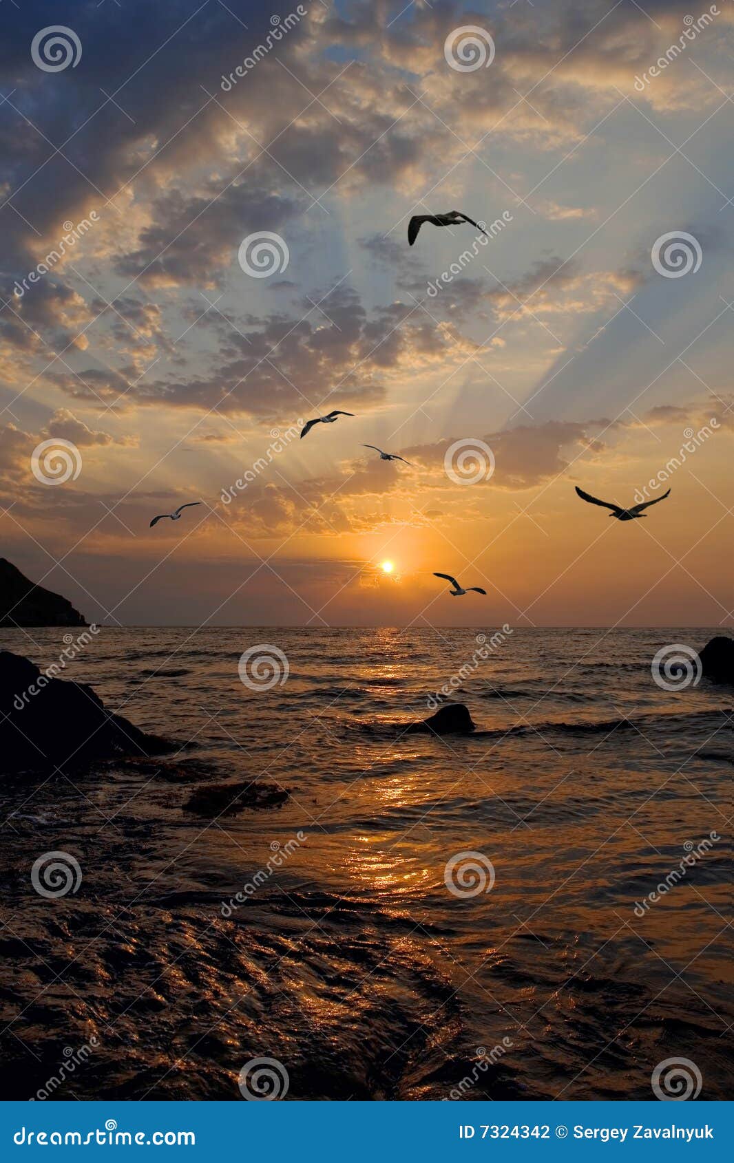 Seagulls Fly Against a Rising Sun Stock Photo - Image of morning ...