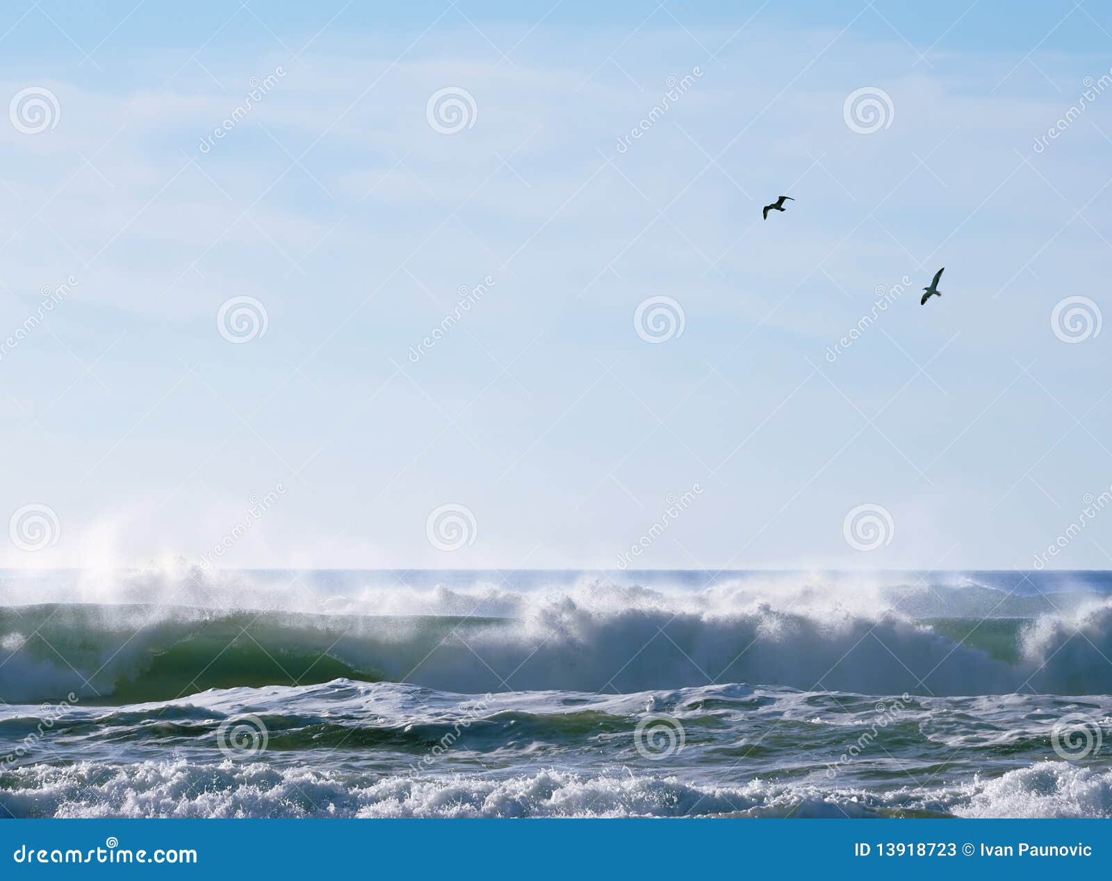 Seagulls Over Breaking Waves Stock Image - Image of seaside, horizon ...