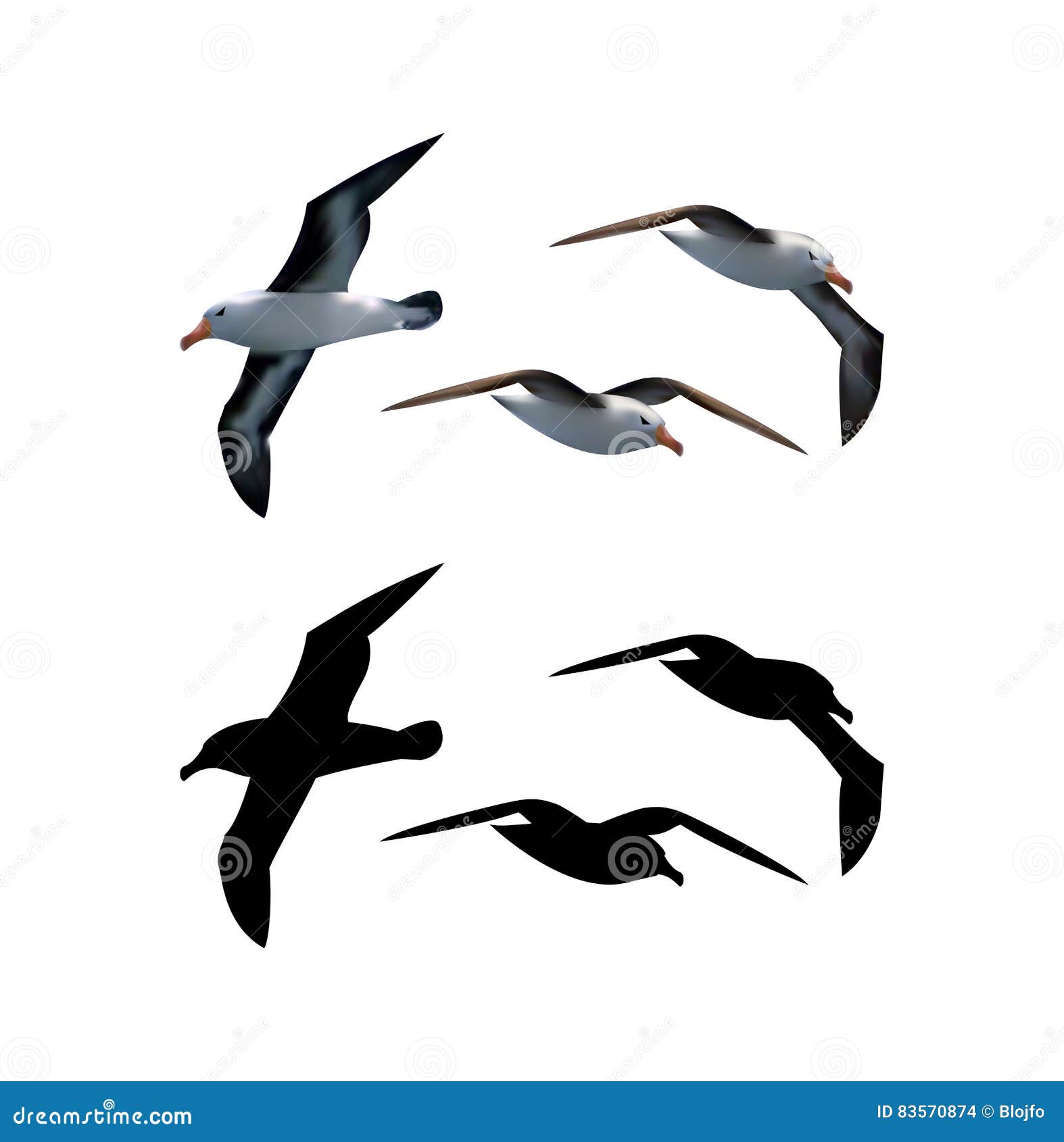 Seagulls set stock vector. Illustration of freedom, feather - 83570874