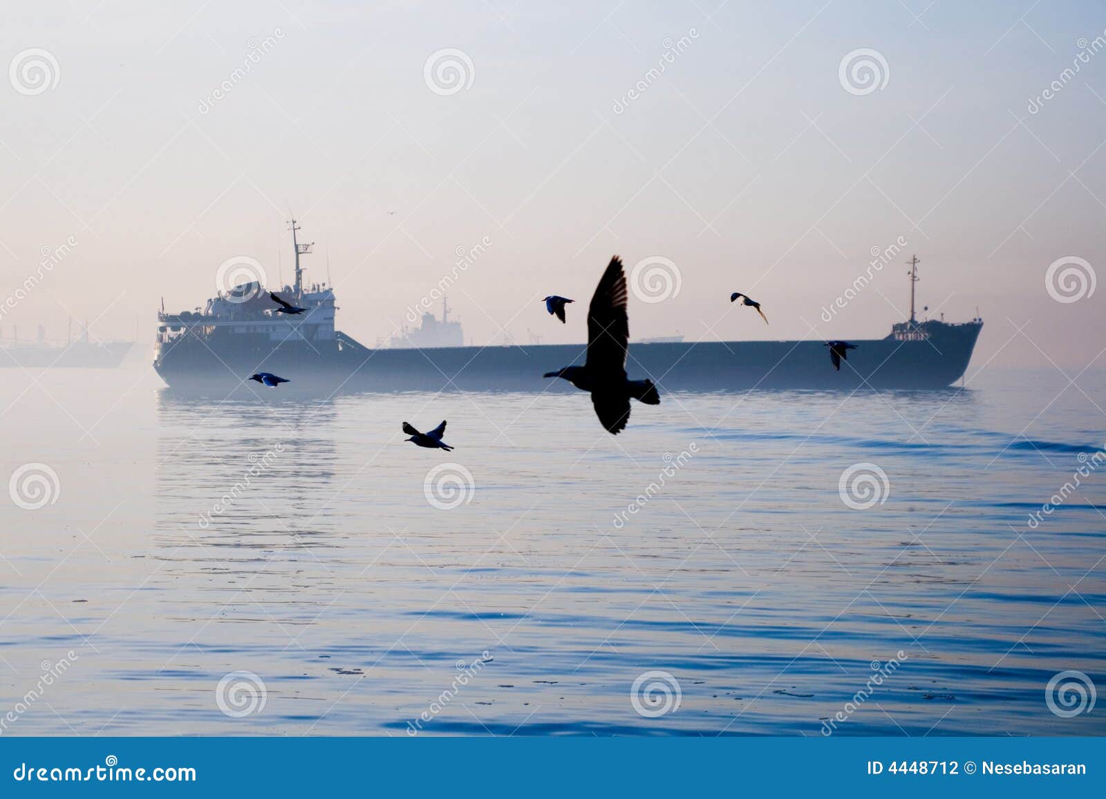 Seagulls and a ship stock photo. Image of mist, life, ship - 4448712