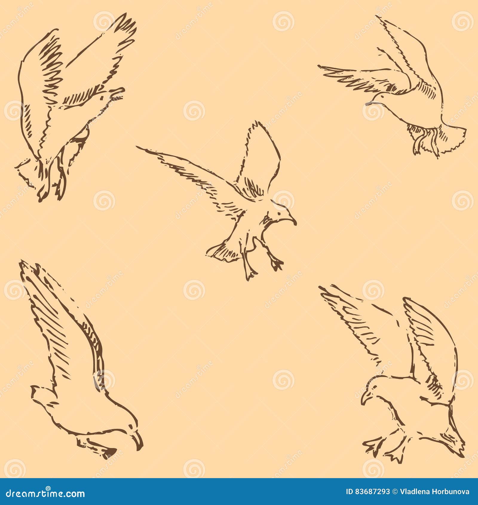 Seagulls Sketch. Pencil Drawing By Hand. Vector | CartoonDealer.com ...