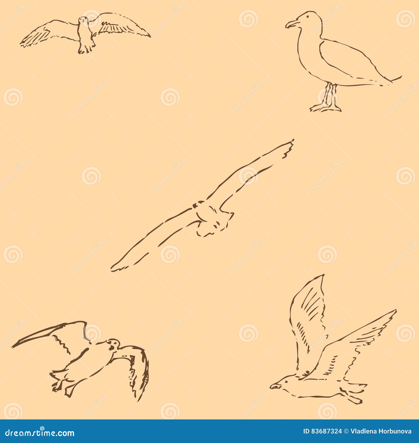 Seagulls Sketch. Pencil Drawing By Hand. Vector | CartoonDealer.com ...