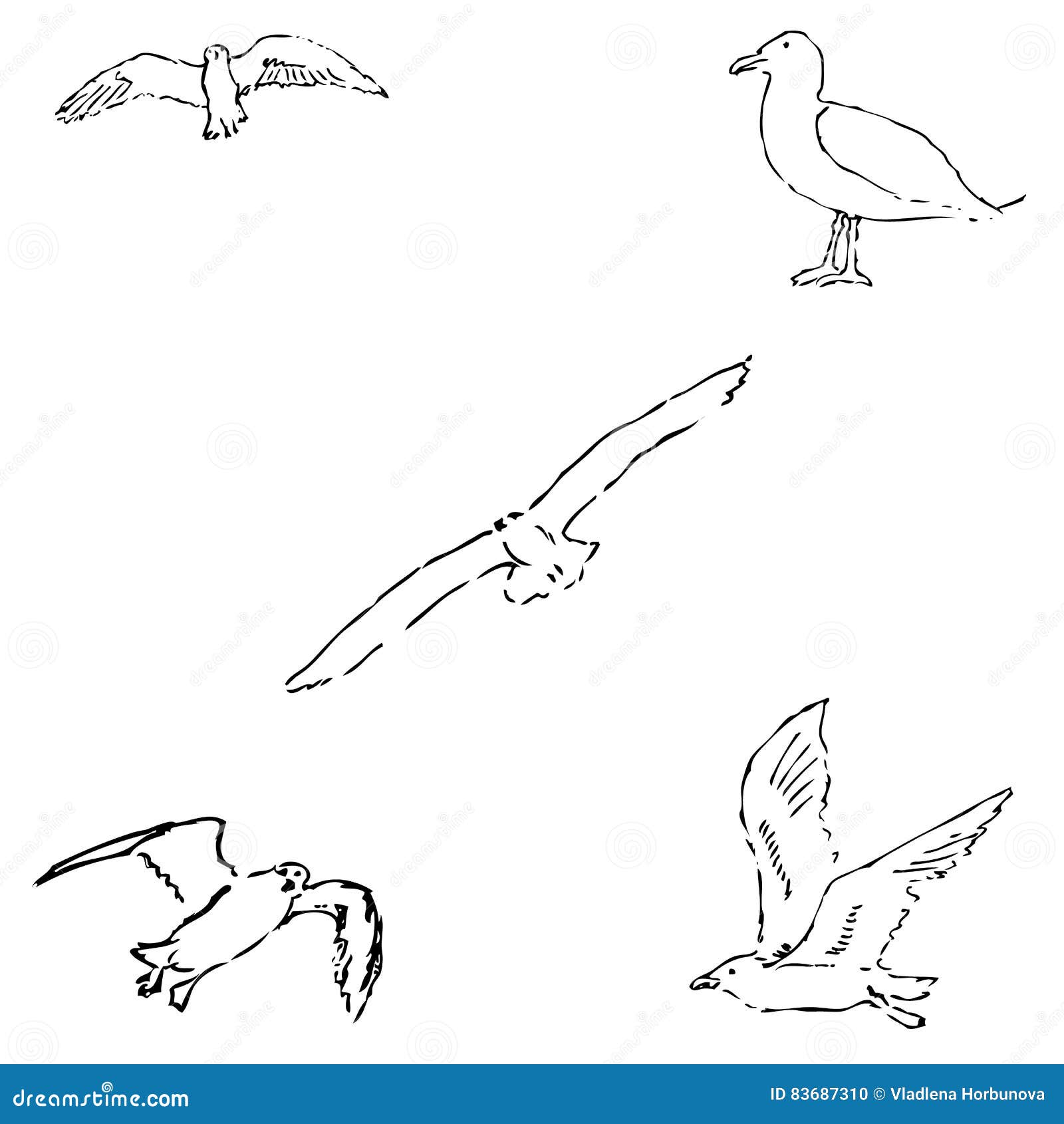 Seagulls Sketch. Pencil Drawing by Hand Stock Vector - Illustration of ...