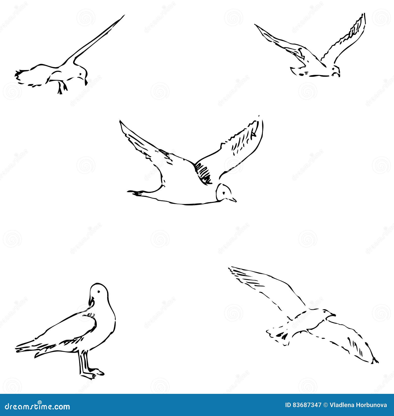 Seagulls Sketch. Pencil Drawing by Hand Stock Vector - Illustration of ...