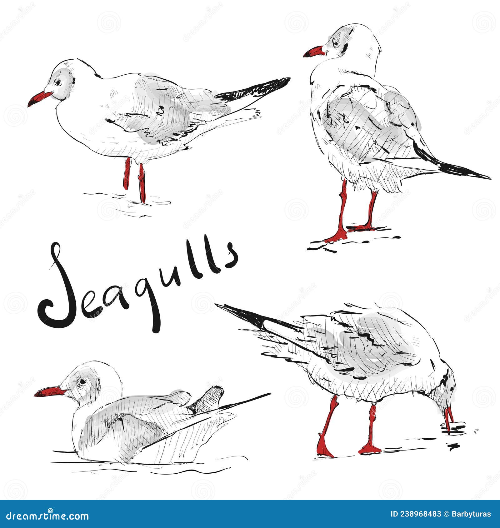 Seagulls Sketch. Pencil Drawing By Hand. Vector | CartoonDealer.com ...