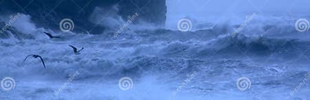 Seagulls on Stormy Seas stock image. Image of spray, tempest - 6824283