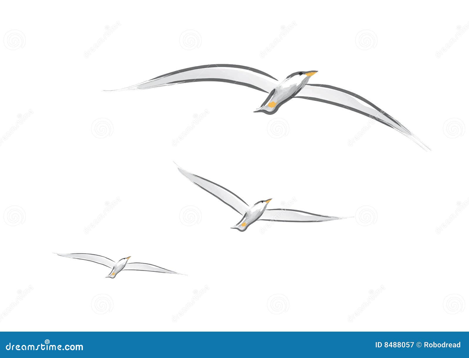 Seagulls (vector) stock vector. Illustration of feathers - 8488057