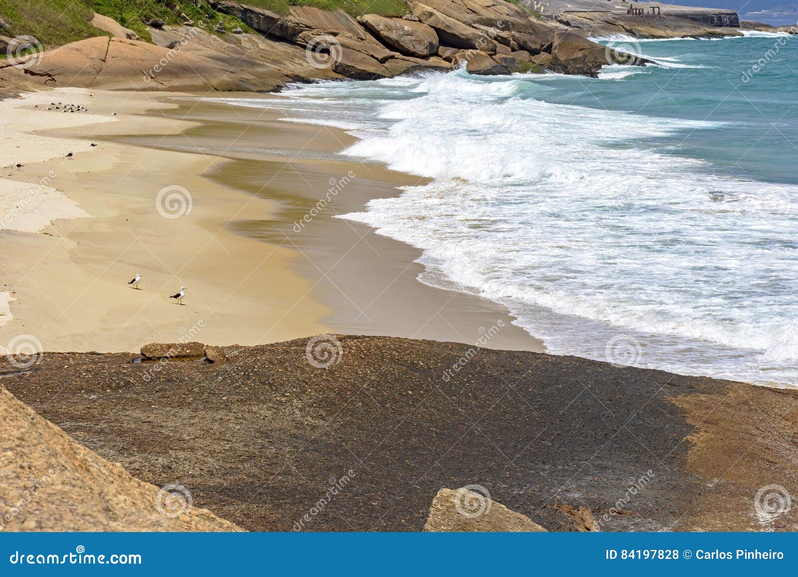 Seagulls and Waves at Devil Beach Stock Photo - Image of shoreline ...