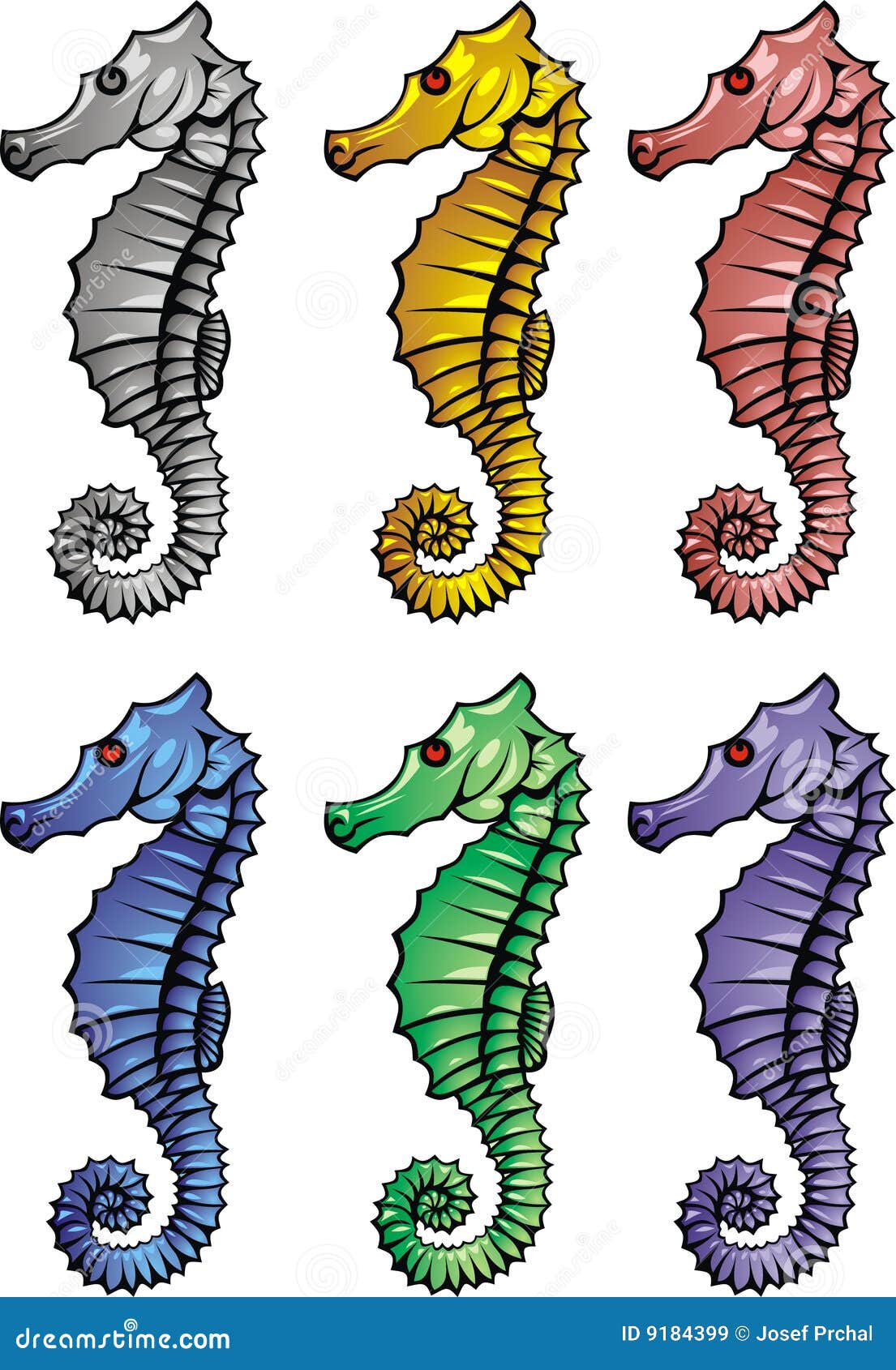 Seahorse stock vector. Illustration of color, caribbean - 9184399