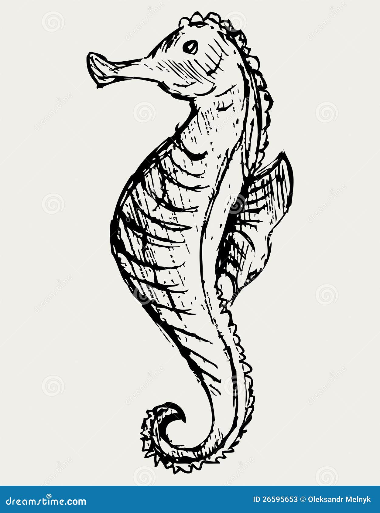 Seahorse Sketch Stock Photos - Image: 26595653