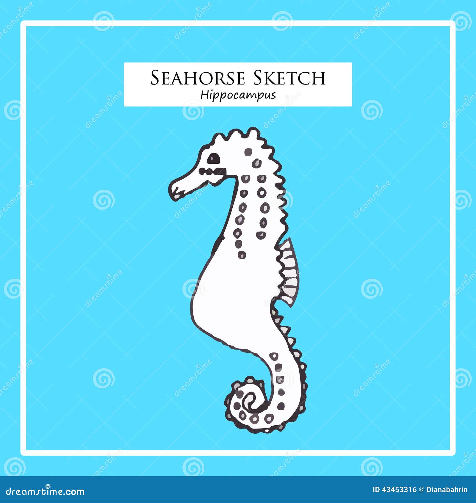 Seahorse Sketch Pattern. Hand Drawn Black Seahorses On Transparent ...